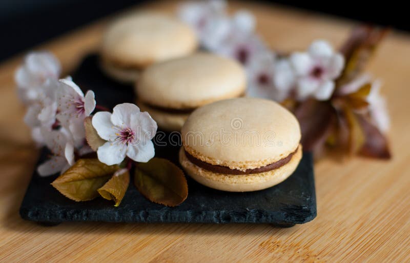 Macaroons Decorated with Flowers Stock Image - Image of closeup, simple ...