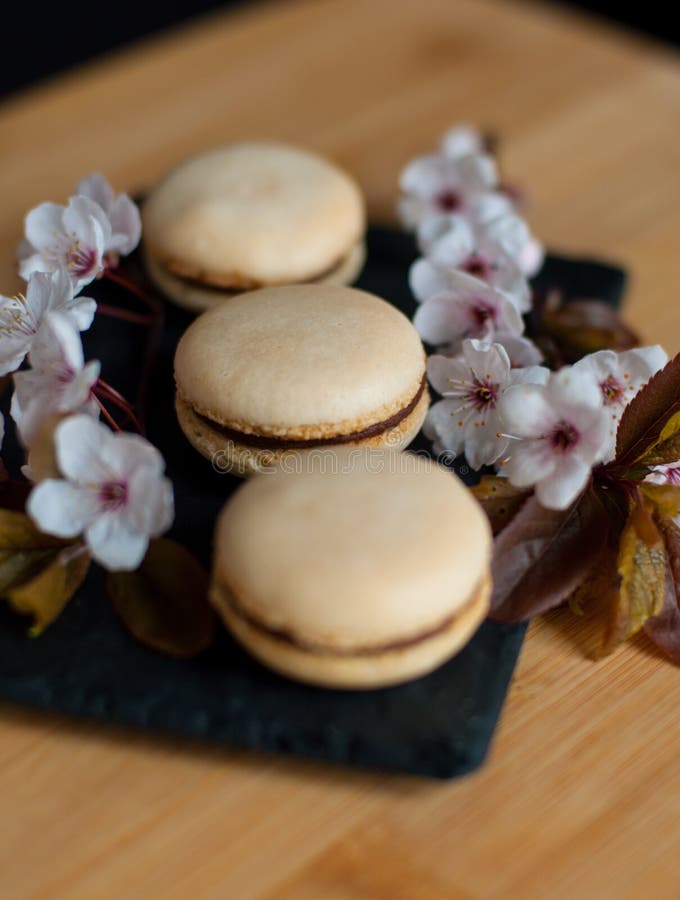 Macaroons Decorated with Flowers Stock Photo - Image of color, bokeh ...