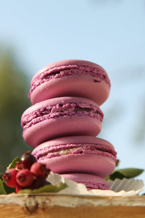 Macaroons stock photo. Image of biscuit, baking, colored - 57072522