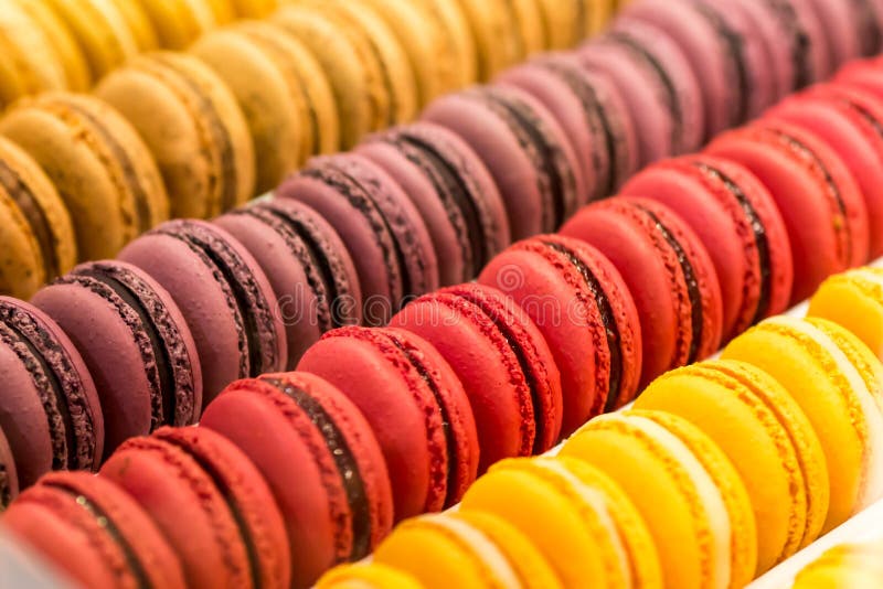 Macaroons at Salon Du Chocolat Brussels Stock Photo - Image of cook ...