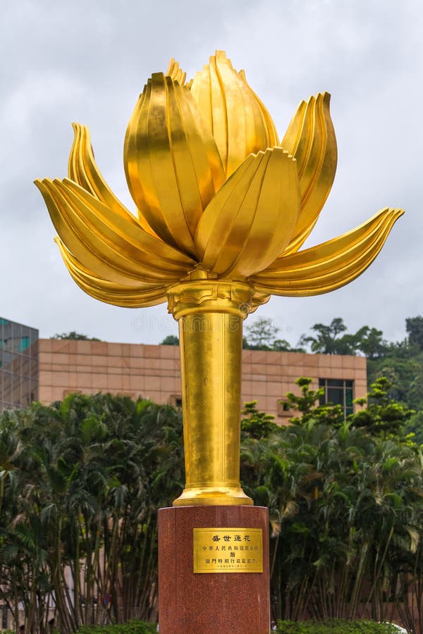 Macau golden lotus square stock photo. Image of lotus - 55104090