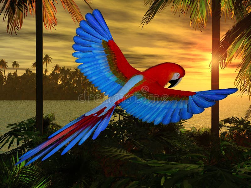 Macaw stock illustration. Illustration of feathers, beak - 8815844