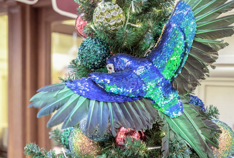 Macaw Parrot with Shiny Outstretched Wings on the Christmas Tree Stock ...