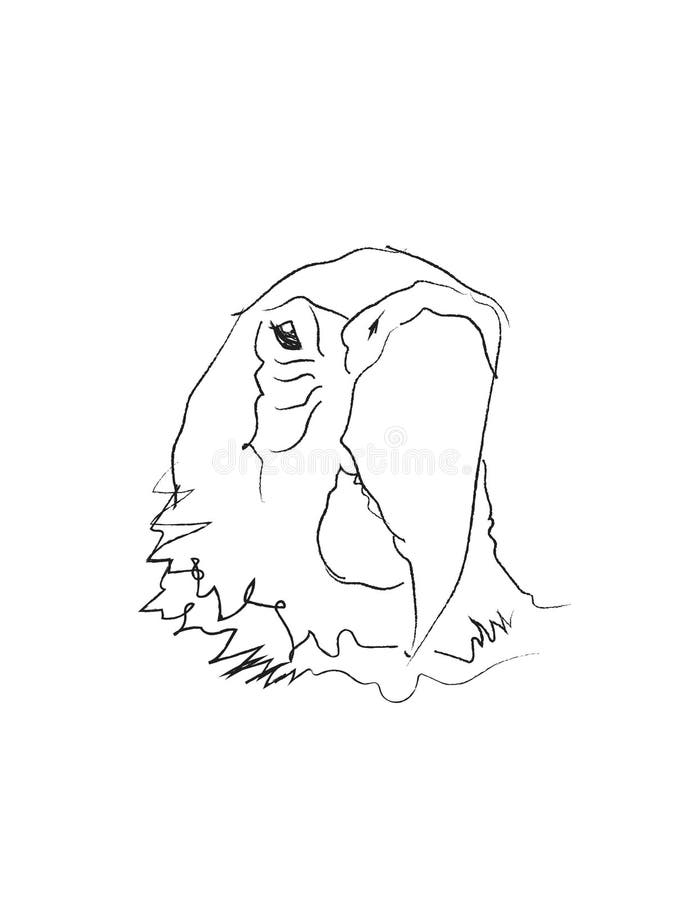 Macaw parrot sketching stock vector. Illustration of design - 305502803
