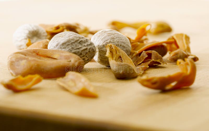 Mace and Nutmeg stock image. Image of scented, seed, chinese - 3129937
