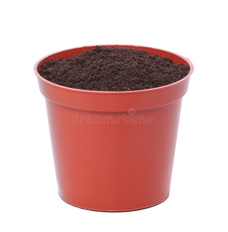 Maceta imagen de archivo. Imagen de suelo, aislado, espacio - 30735435