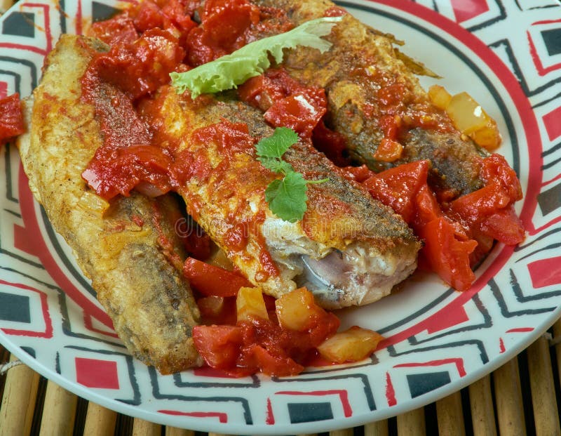 Machha Foton - Gratis och royaltyfria stockfoton från Dreamstime