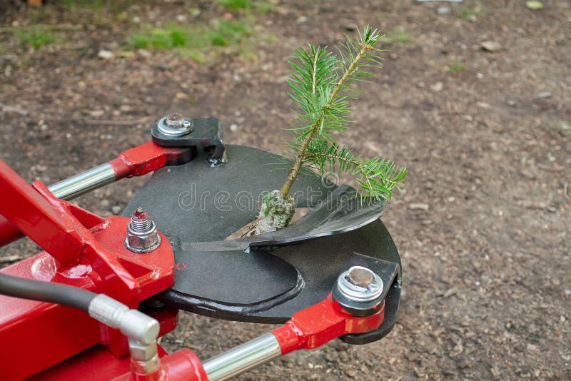 Machine De Plantation D'arbres Image stock - Image du culture ...