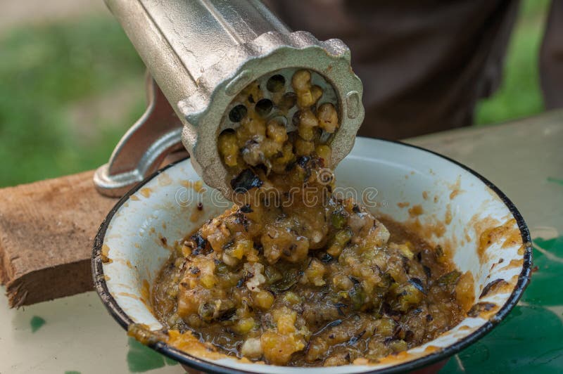Machine for Grinding Fruit. Grinding of Plums Stock Image - Image of ...