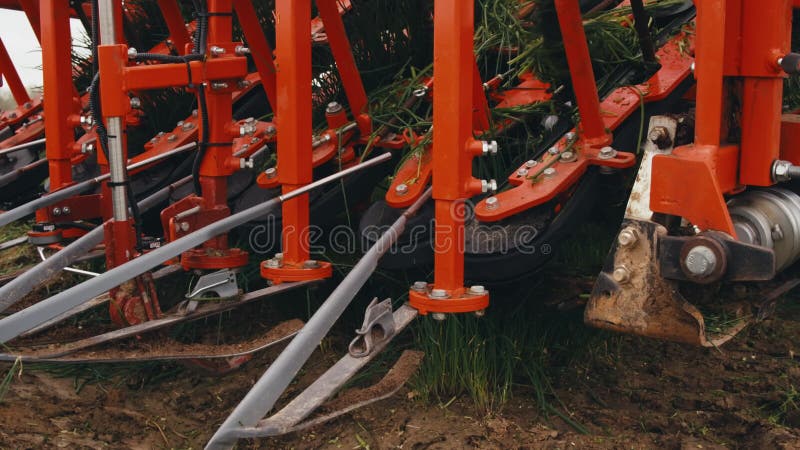 Machine for Harvesting Grass Herb Green Onion from Field in Action ...