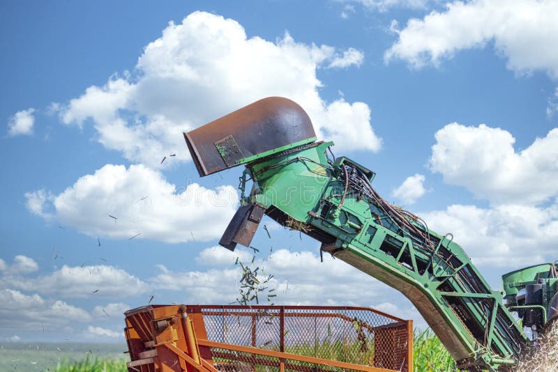 Machine Harvesting Sugar Cane Plantation Editorial Stock Image - Image ...