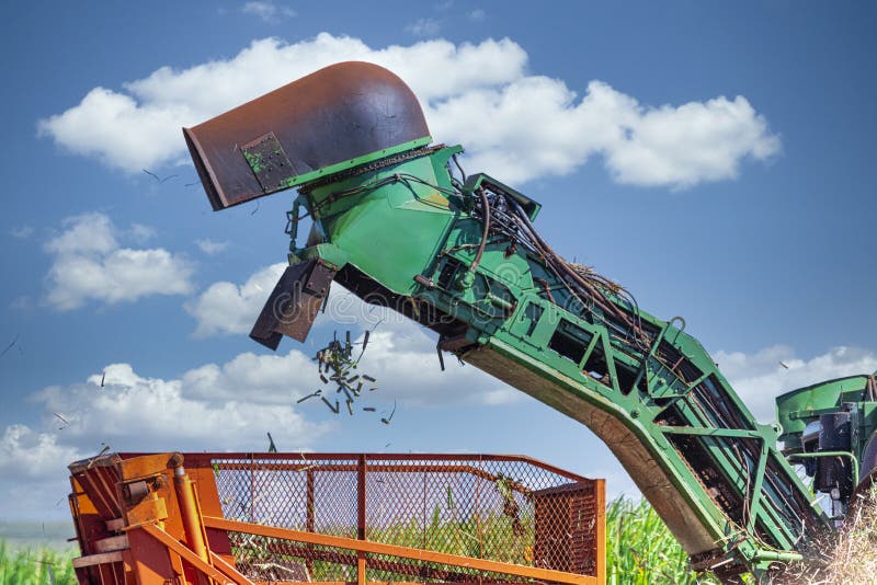 Machine Harvesting Sugar Cane Plantation Editorial Stock Image - Image ...