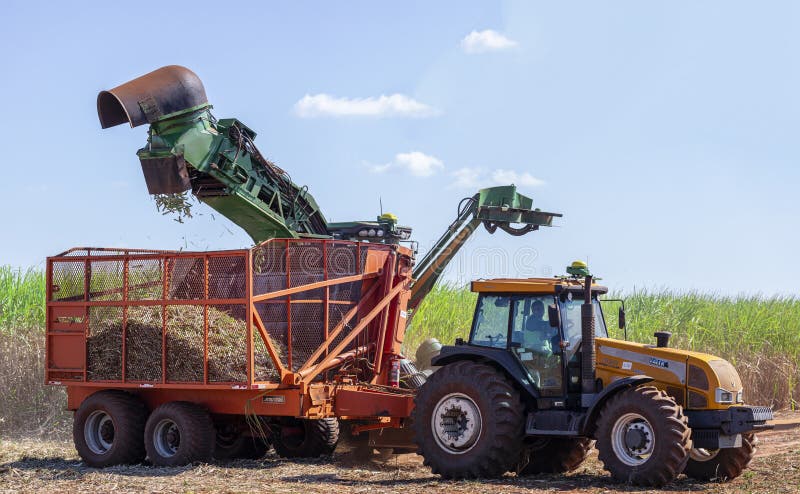 Machine Harvesting Sugar Cane Plantation Editorial Photo - Image of ...