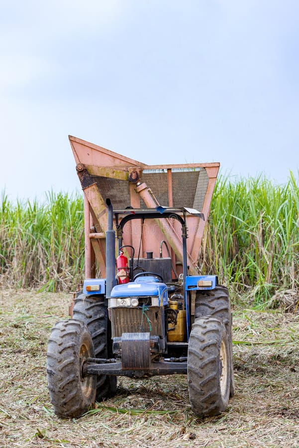 521 Sugarcane Harvesting Machine Stock Photos - Free & Royalty-Free ...
