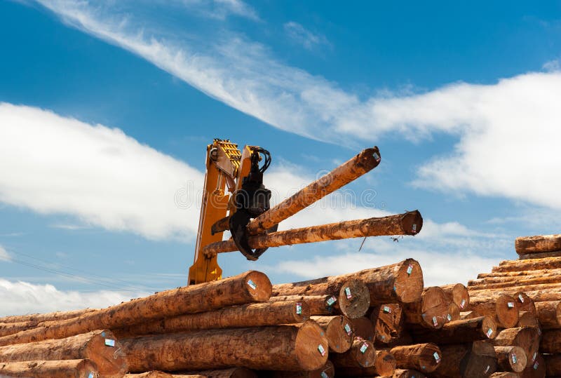 Machine Lifts Timber Onto a Stack Stock Image - Image of nature, timber ...