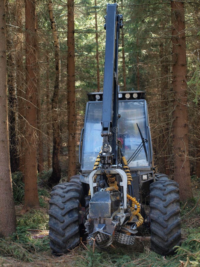 Machine for Logging in the Forest, South Bohemia Stock Photo - Image of ...