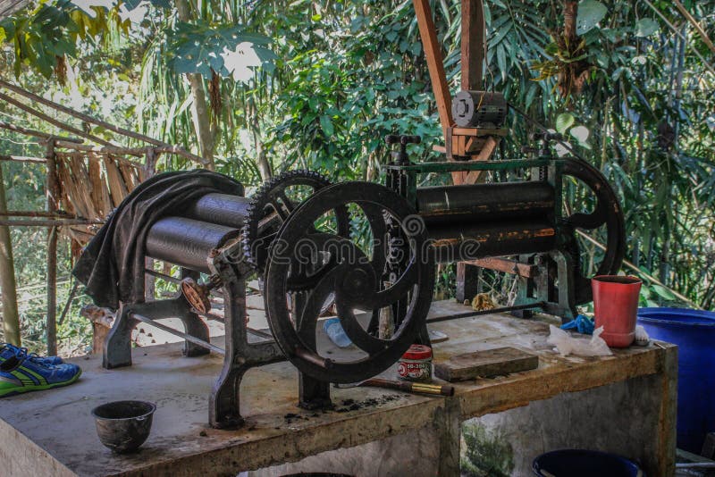Natural Raw Rubber Production in Pressing Machine Editorial Image ...