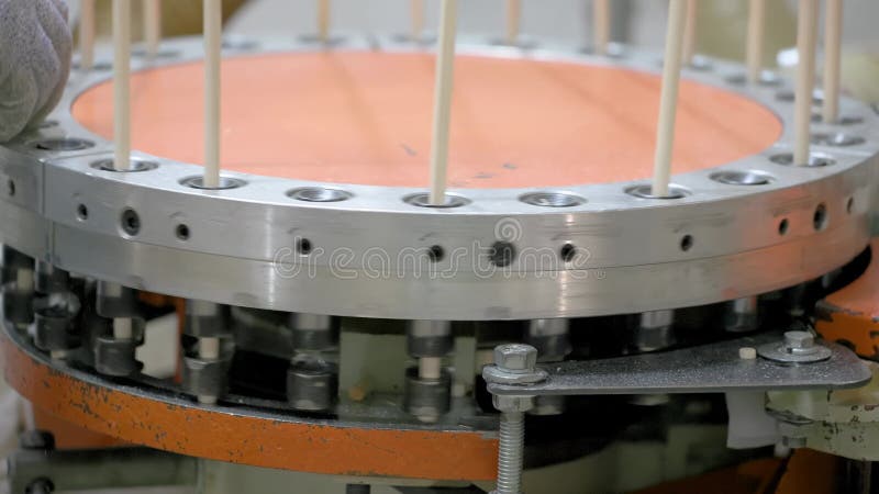 A Machine Processes Wooden Dowels, Arranging Them Vertically in a ...