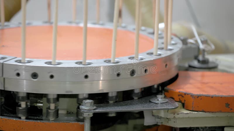 A Machine Processes Wooden Dowels, Arranging Them Vertically in a ...