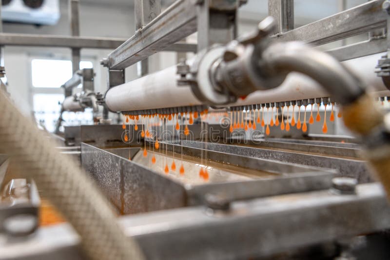 Machine for the Production of Artificial Red Caviar. Stock Photo ...