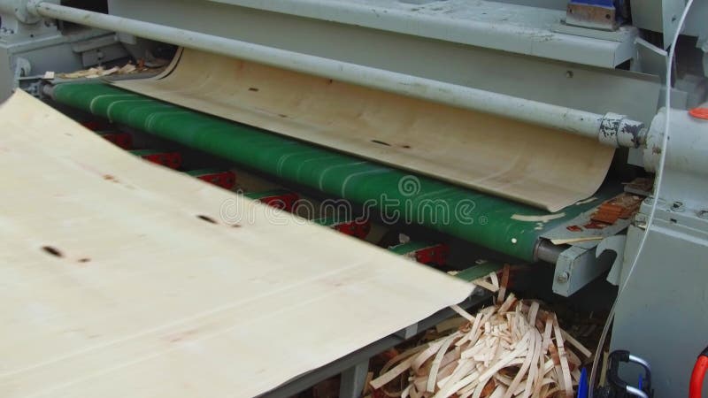 Machine for the Production of Veneer Sheets, in the Process. the ...