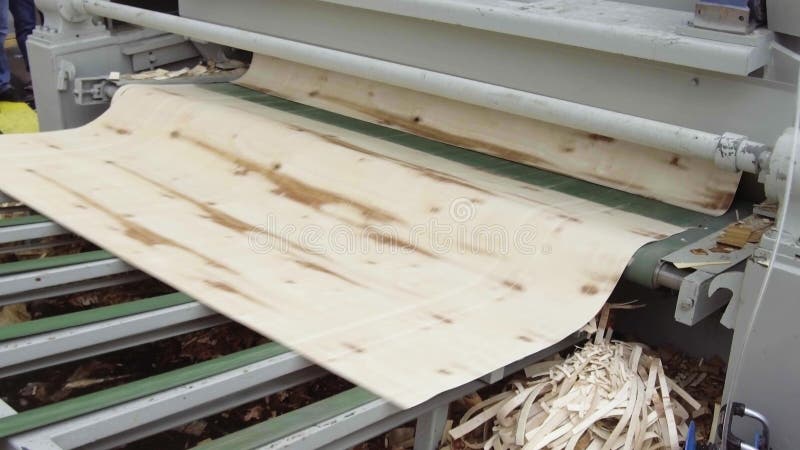 Machine for the Production of Veneer Sheets, in the Process. the ...