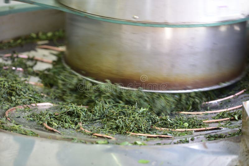 Machine for Rolling Tea Leaves. Stock Image - Image of redtea ...