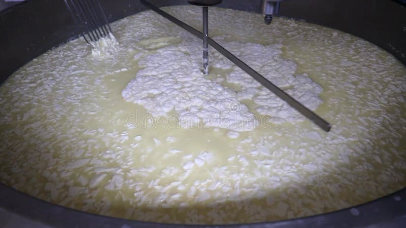 Machine Separating the Whey from Curds during Making Cheese in a Local ...