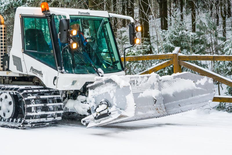 Machine Snowcat Compacts the Snow on the Ski Slopes in Coniferous ...