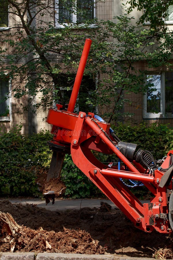 716 Uprooting Stock Photos - Free & Royalty-Free Stock Photos from ...