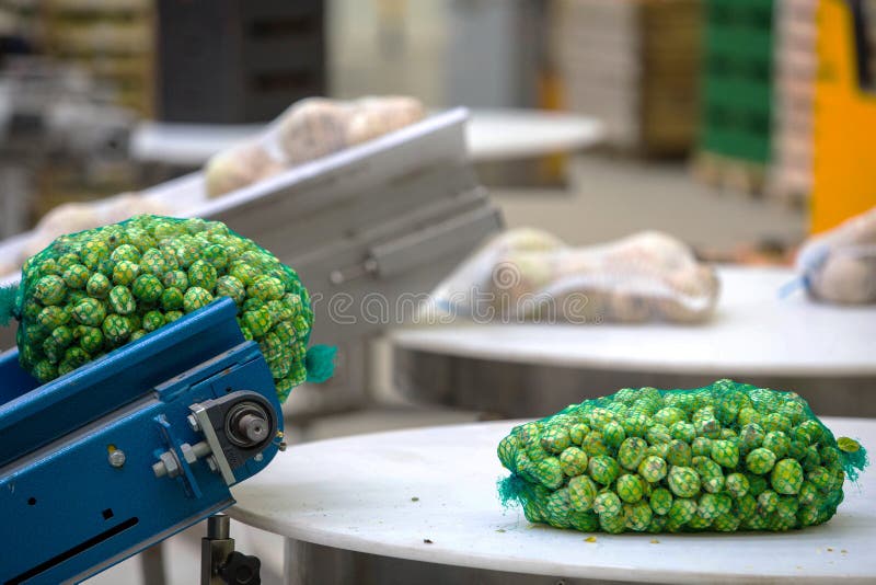 Machinery in Fruit and Vegetable Wholesale Editorial Photo - Image of ...