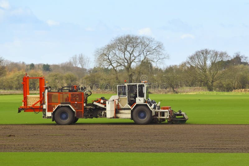 Machines De Levage De Gazon Photo stock - Image du rouge, levage: 13848734