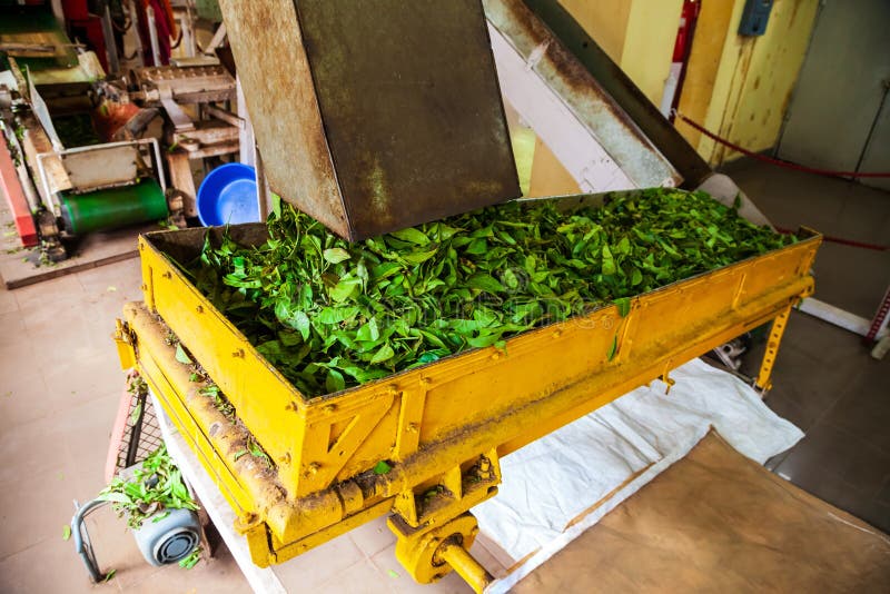 Machines Inside the Tea Factory Stock Image - Image of plant ...