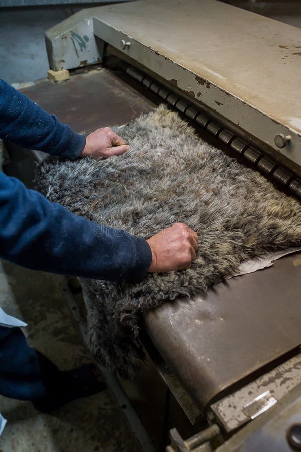 Machines for Processing Natural Leather and Fur Stock Photo - Image of ...