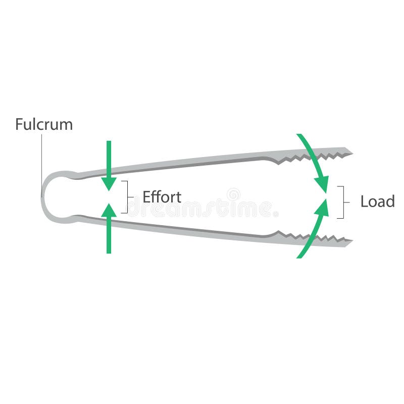 Machines Simples : Levier - Pinces Illustration de Vecteur ...