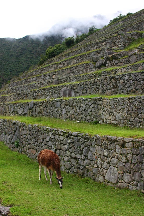 Machu Picchu stock image. Image of picchu, rain, travel - 12646735