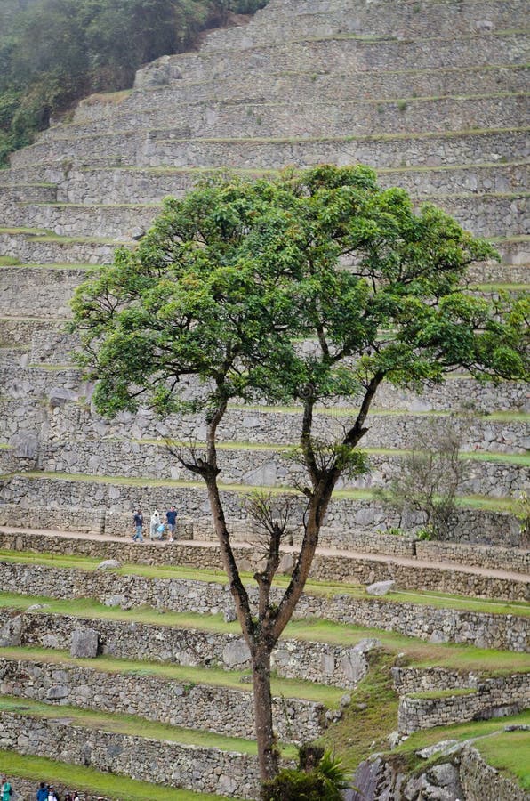 Machu Picchu in Peru stock image. Image of inca, mysterious - 65332677