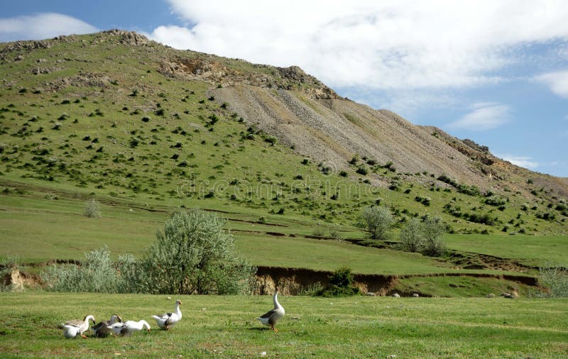 In Macin Mountains stock image. Image of meadow, pasture - 45097263