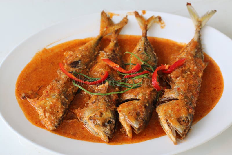 Mackerel in Dried Red Curry Stock Photo - Image of cymbopogon, capsicum ...