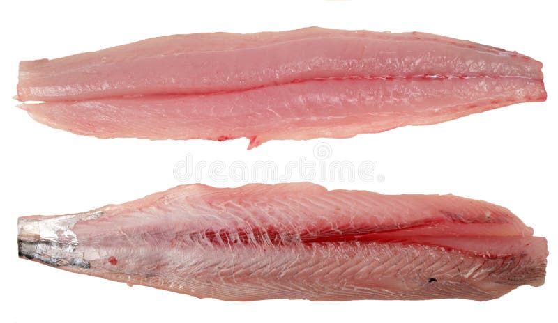 Mackerel fillets isolated stock photo. Image of oily, diet - 6535416