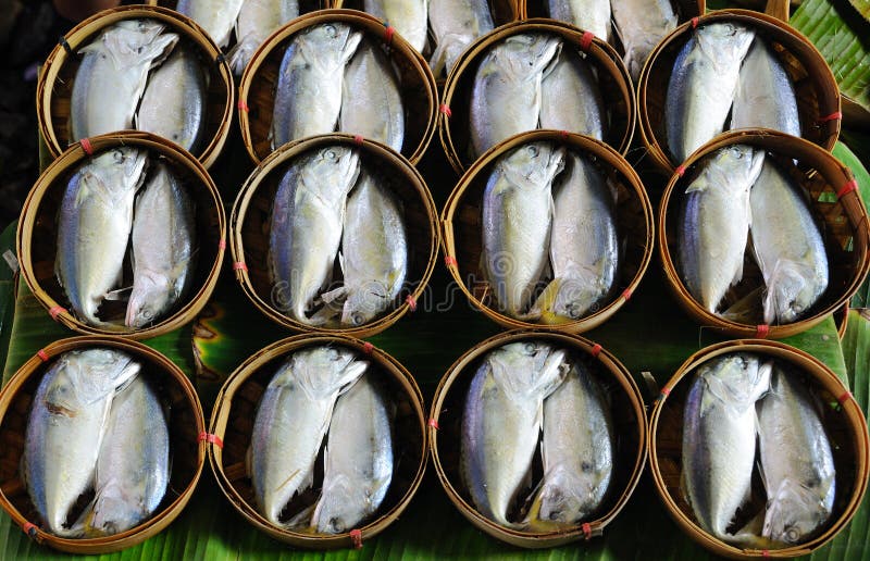 Mackerel fish stock photo. Image of market, seafood, cook - 18988396