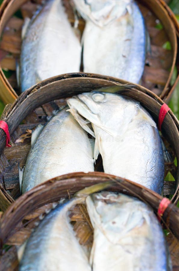 Mackerel Fish. stock photo. Image of ingredient, iodine - 36482946