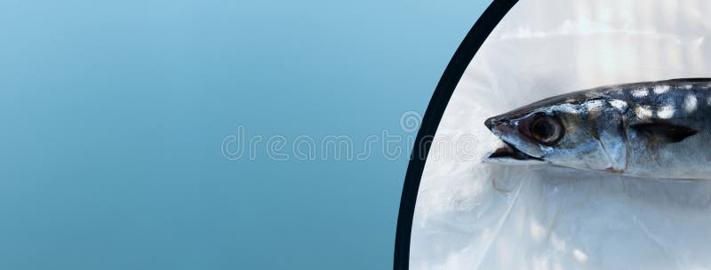 Plastic Garbage Fish with Blue Wavy Water Showing Marine Debris ...