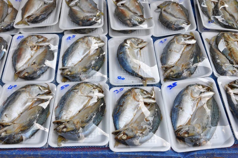 Mackerel Fish in Foam Box stock image. Image of fresh - 25802603