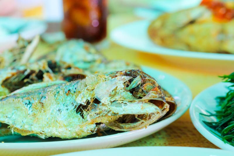 Mackerel fish fried. stock photo. Image of culture, mackerel - 73527982