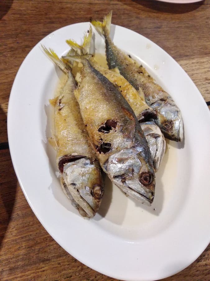 Mackerel Fish Fried on White Dish Stock Photo - Image of mackerel ...
