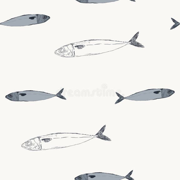 Mackerel Fish , Hand Drawn Seamless Pattern. Stock Vector ...