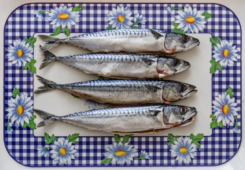 Mackerel fish stock image. Image of food, plate, tray - 56152761