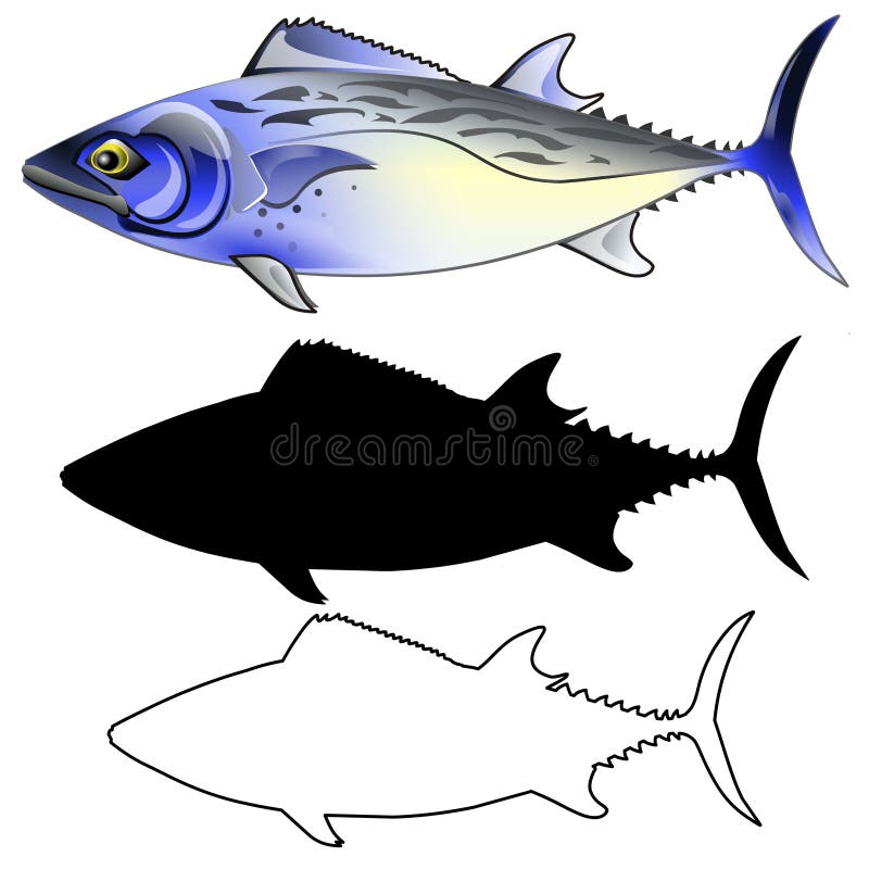Mackerel Fish Hand Drawn, Outline. Isolated on White Background Stock ...