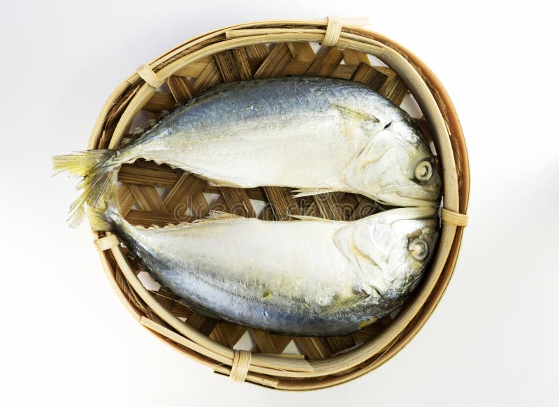Mackerel fish stock photo. Image of fresh, dinner, diets - 40055558